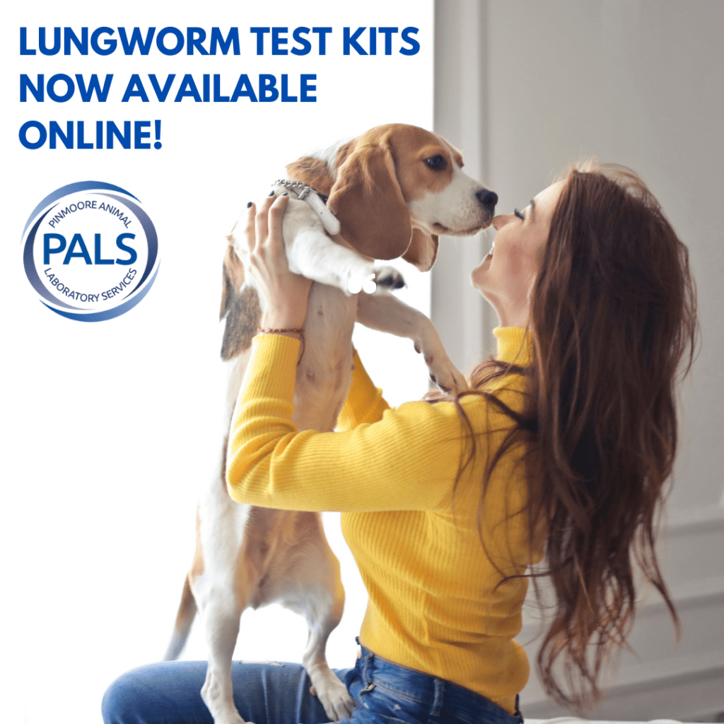 Lungworm test, now available online! - PALS Vet Lab